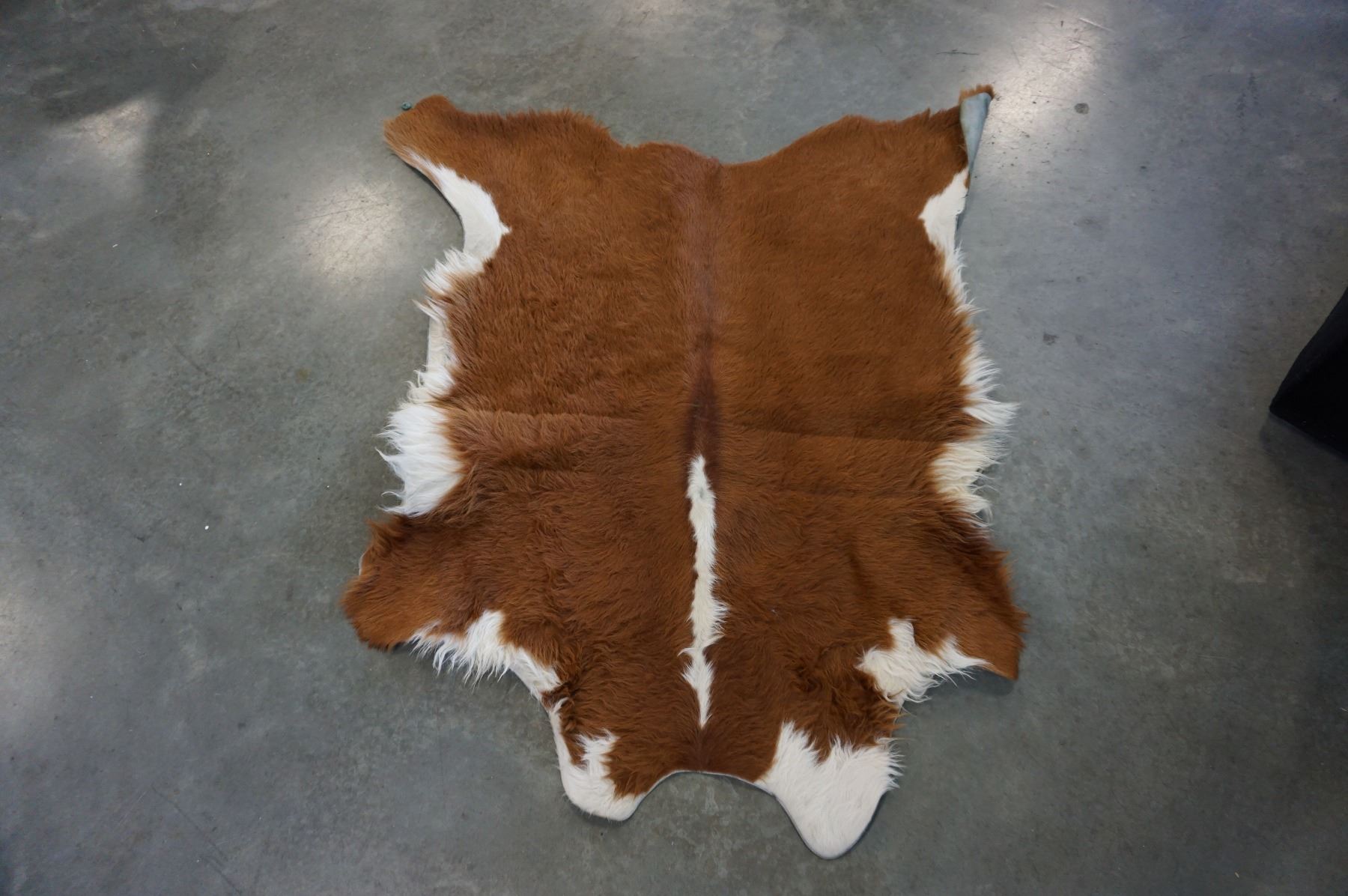 ANIMAL HIDE animal-hide