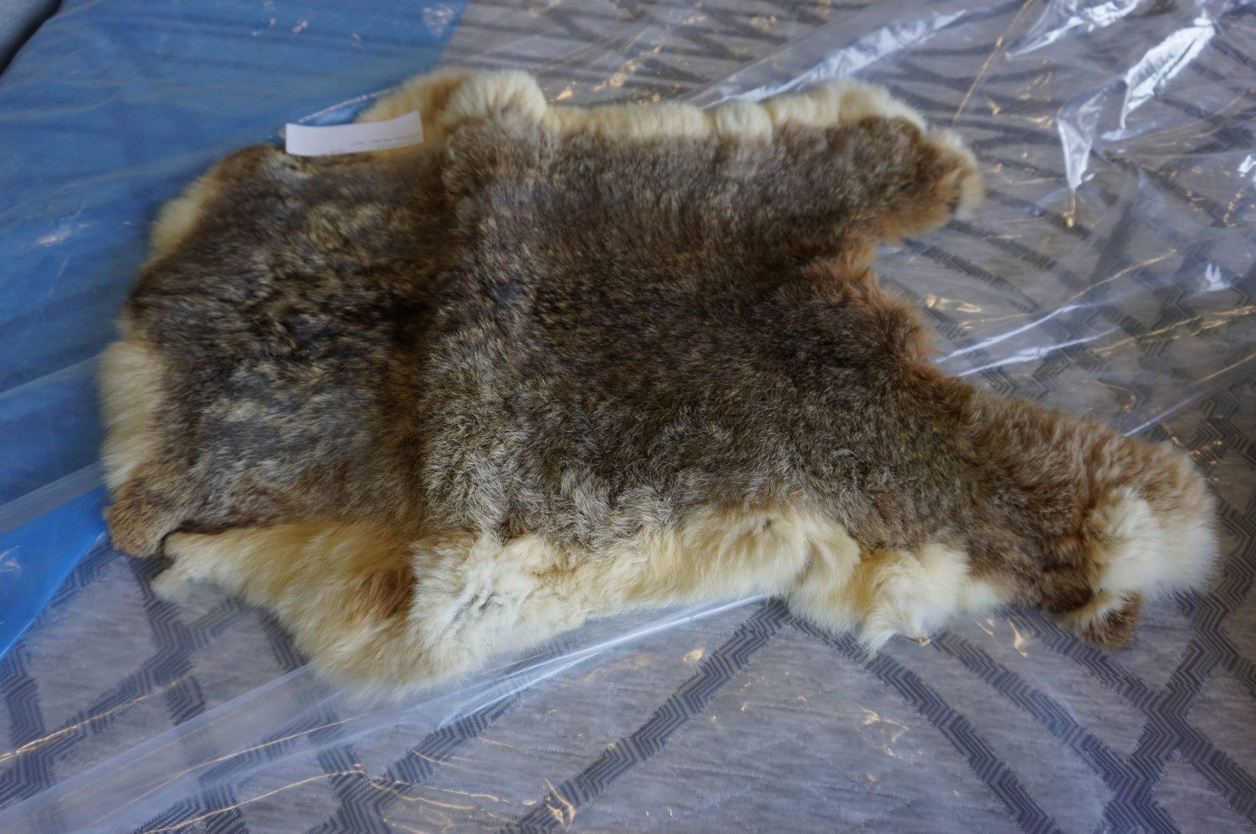 VINTAGE ANIMAL PELT Big Valley Auction vintage-animal-pelt-big-valley-auction