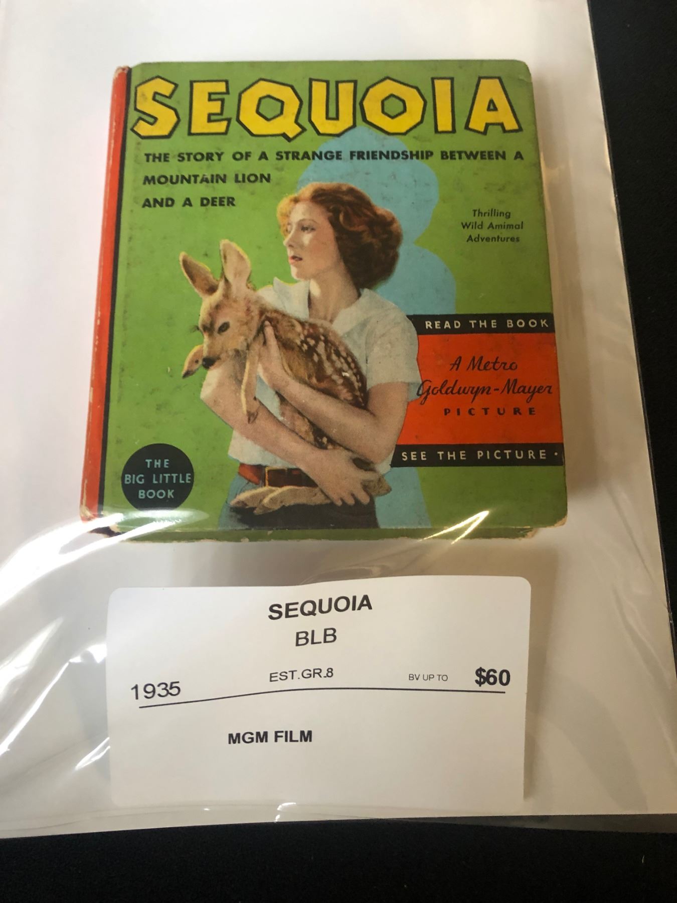 SEQUOIA (THE BIG LITTLE BOOK) 1935