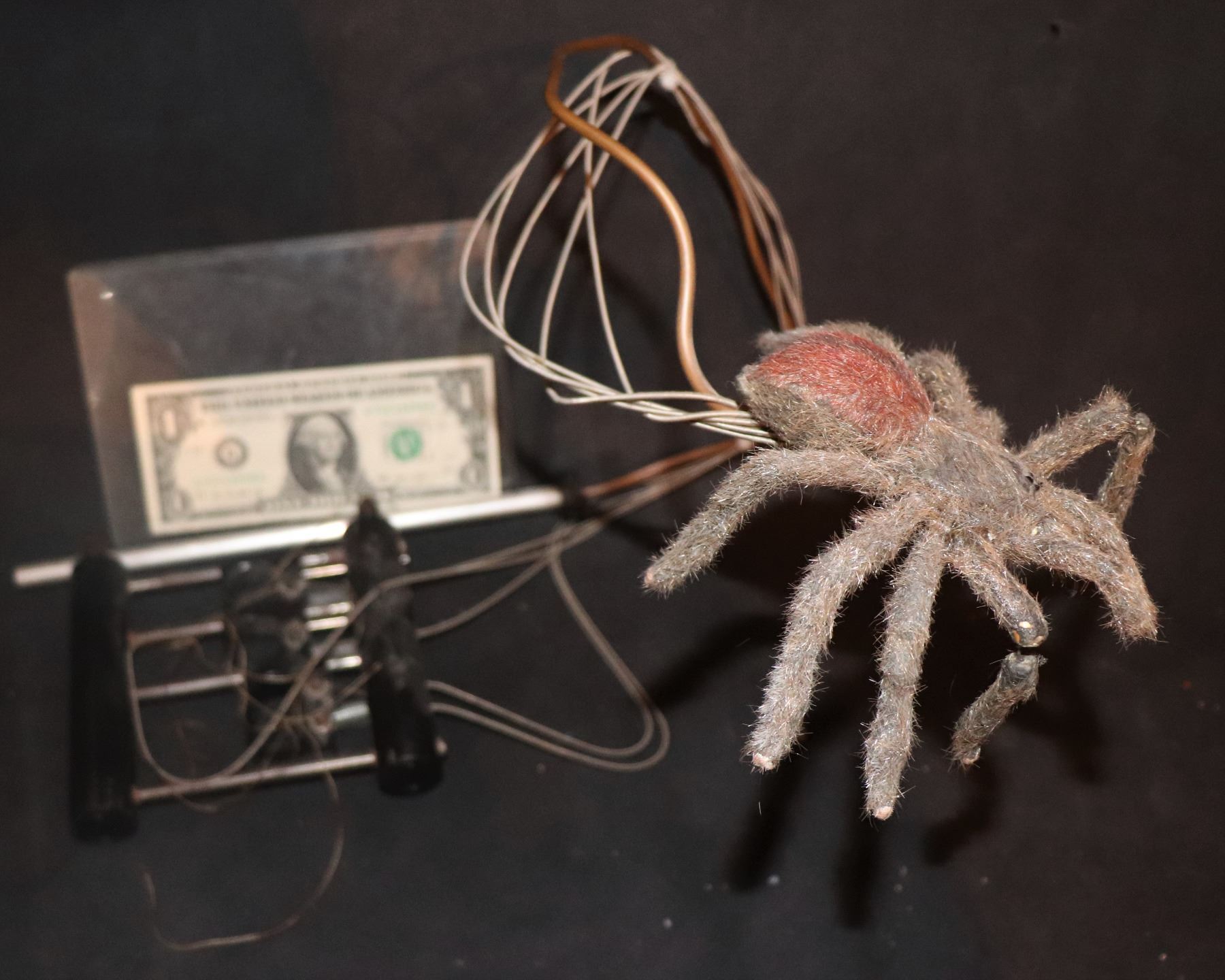 ANIMATRONIC TARANTULA SPIDER PUPPET INTACT WITH TRIGGERS
