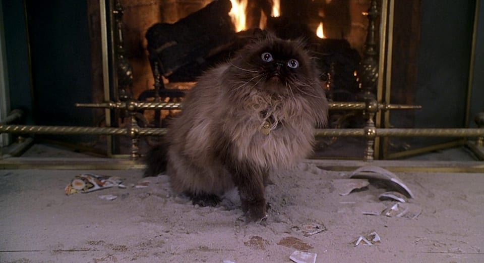 MEET THE PARENTS FOCKERS LITTLE MR JINX SCREEN MATCHED HERO ANIMATRONIC ...