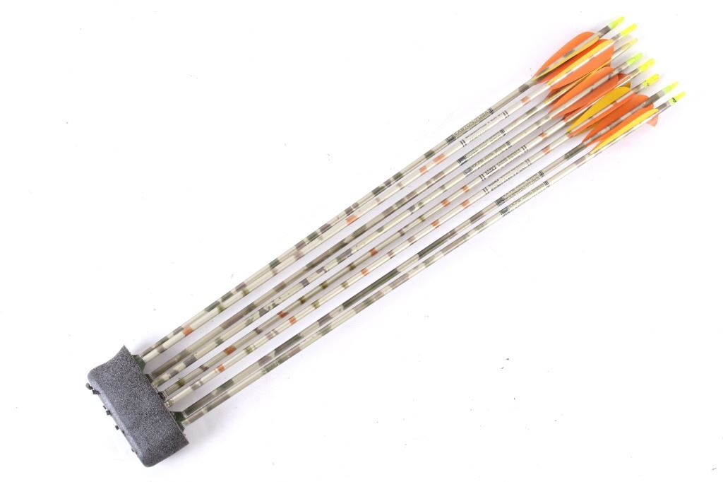 Proline Point Blank Ltd. Compound Bow w/ Arrows