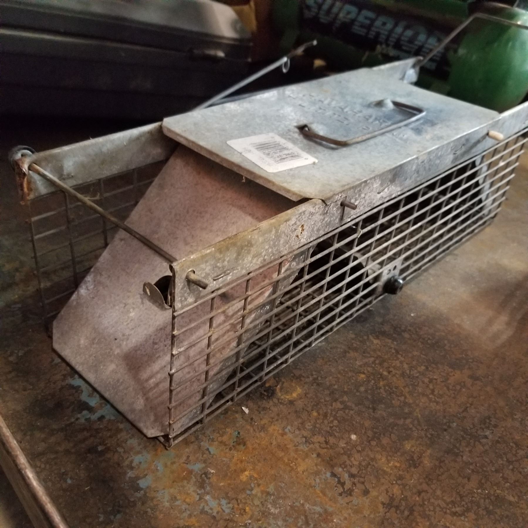 SMALL ANIMAL TRAP Big Valley Auction small-animal-trap-big-valley-auction