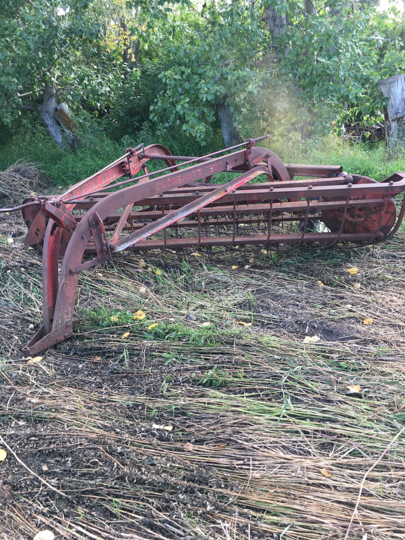 Cockshutt 311 Hay Rake