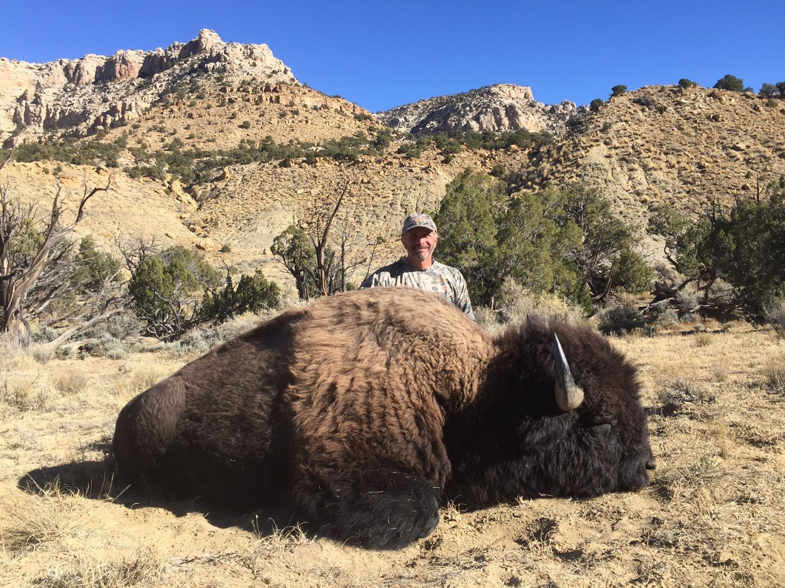 2020 Utah Statewide Bison Conservation Permit 2020-utah-statewide-bison-conservation-permit