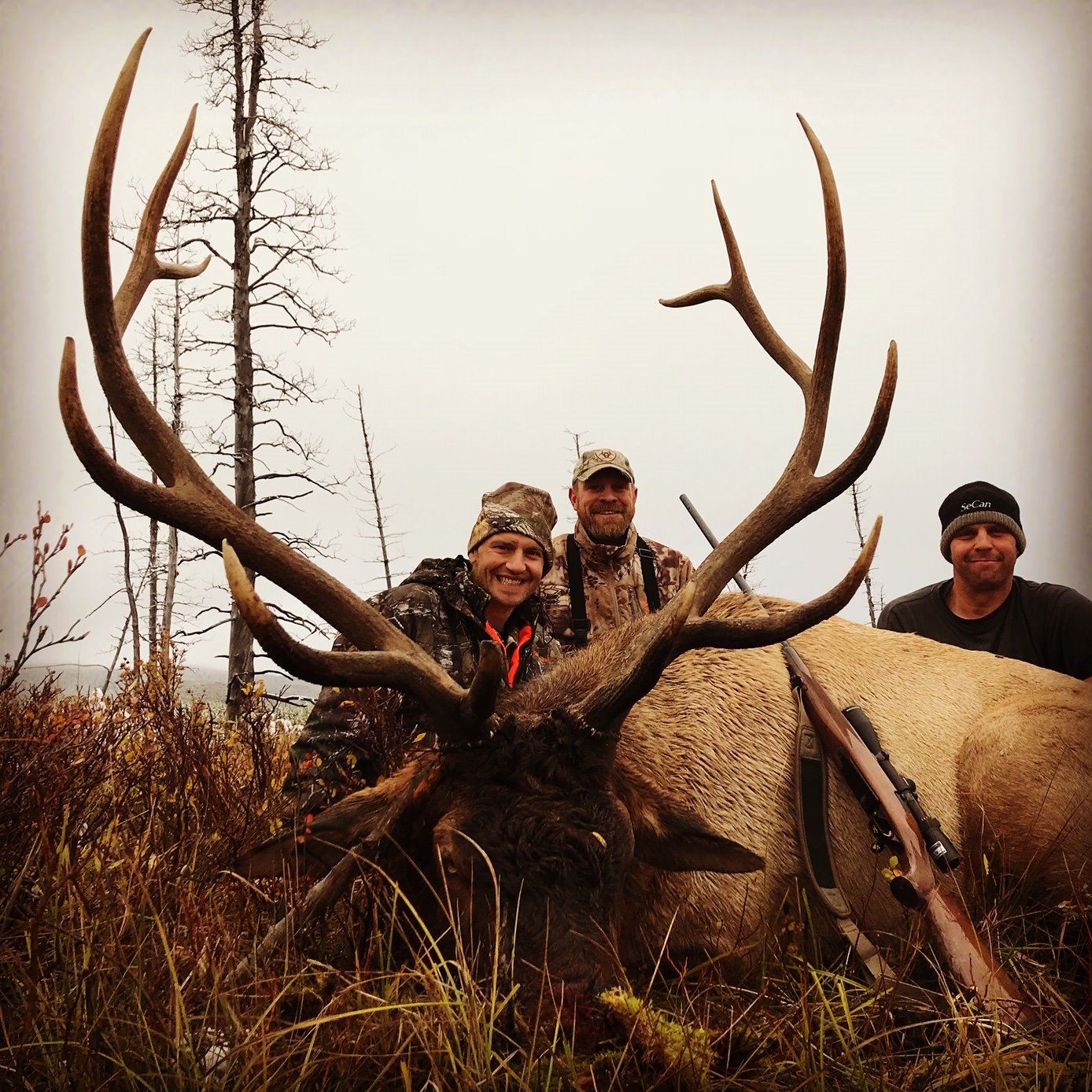 Alberta Elk Hunt