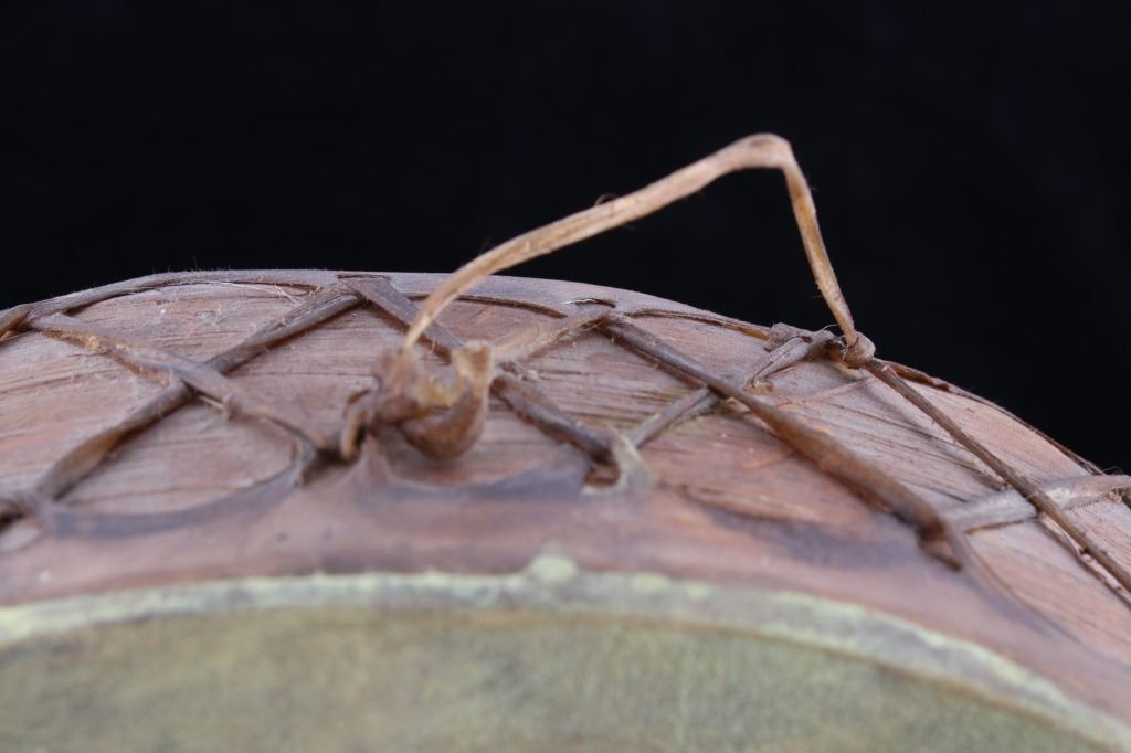 Comanche Polychrome Painted War Drum 19th C.