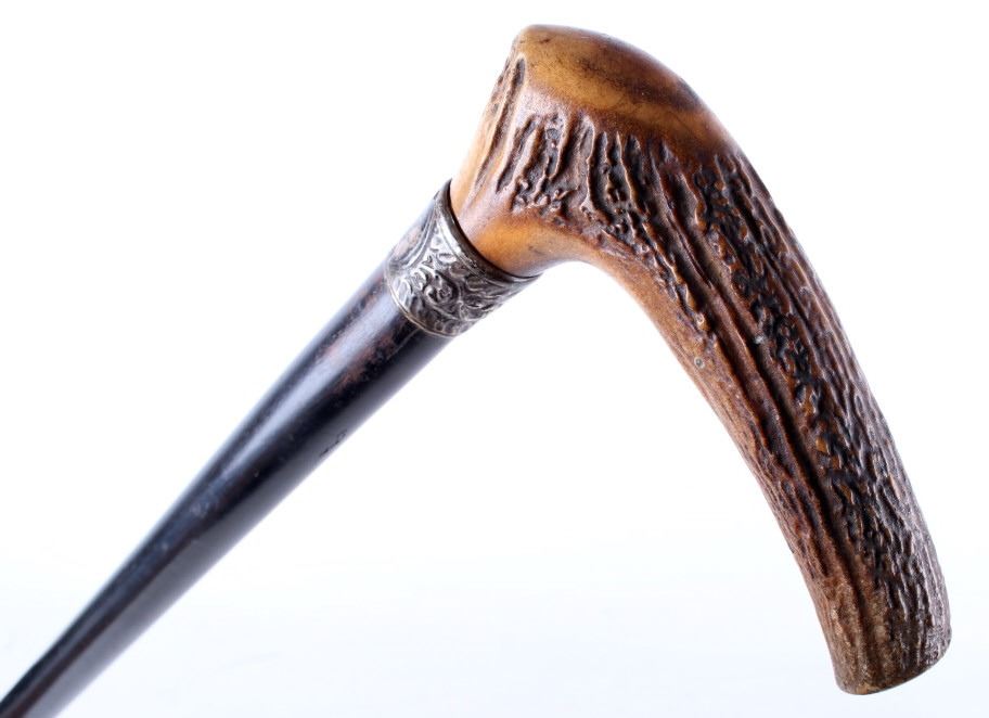 Stag Handle Gentleman's Cane With Silver Collar