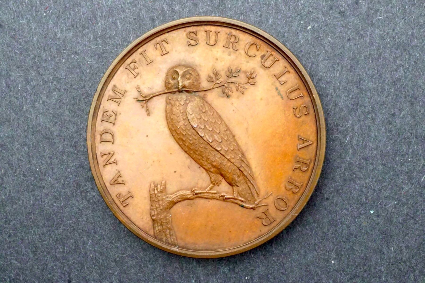 Copper Prize Medal Natural History Society, Montréal