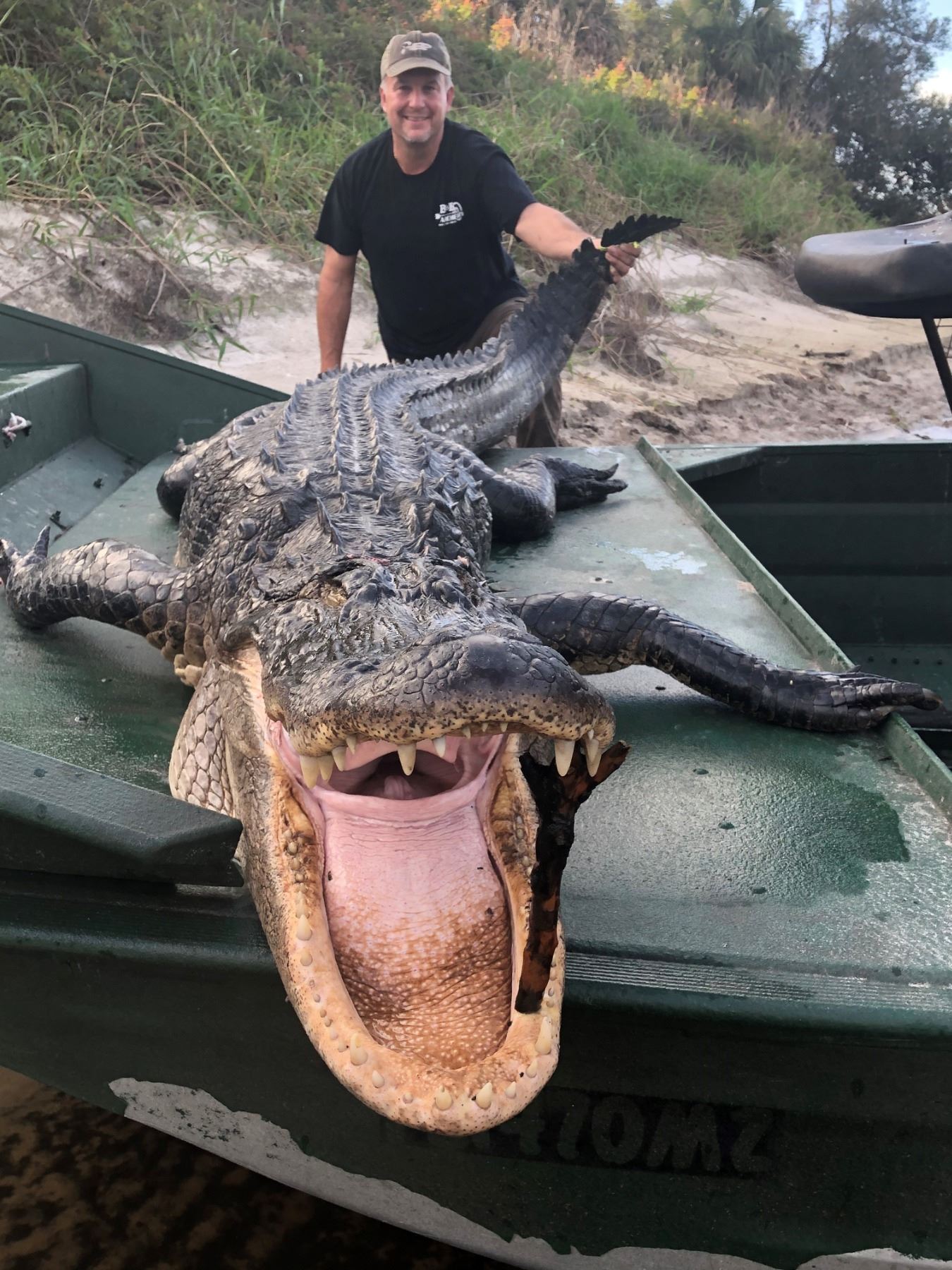 8’ Alligator Hunt in Florida