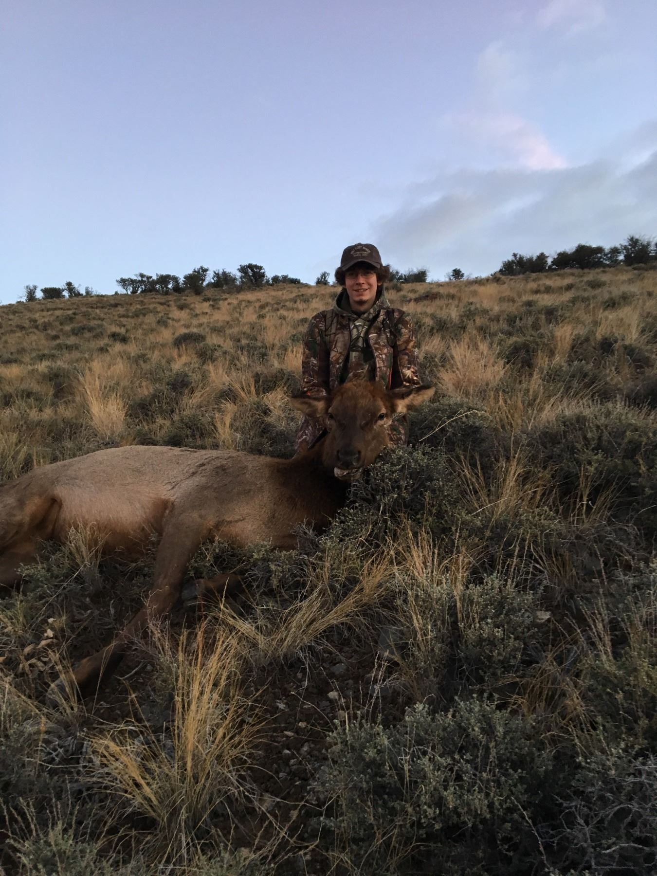 Youthadult Cow Elk Hunt In Idaho With Big Lost River Outfitters