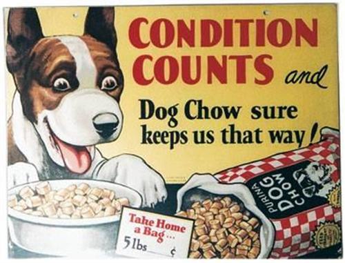Purina Dog Chow cardboard poster