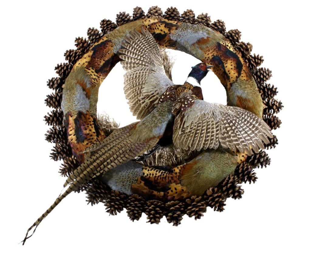 Excellent Trophy Flying Pheasant Wreath Mount