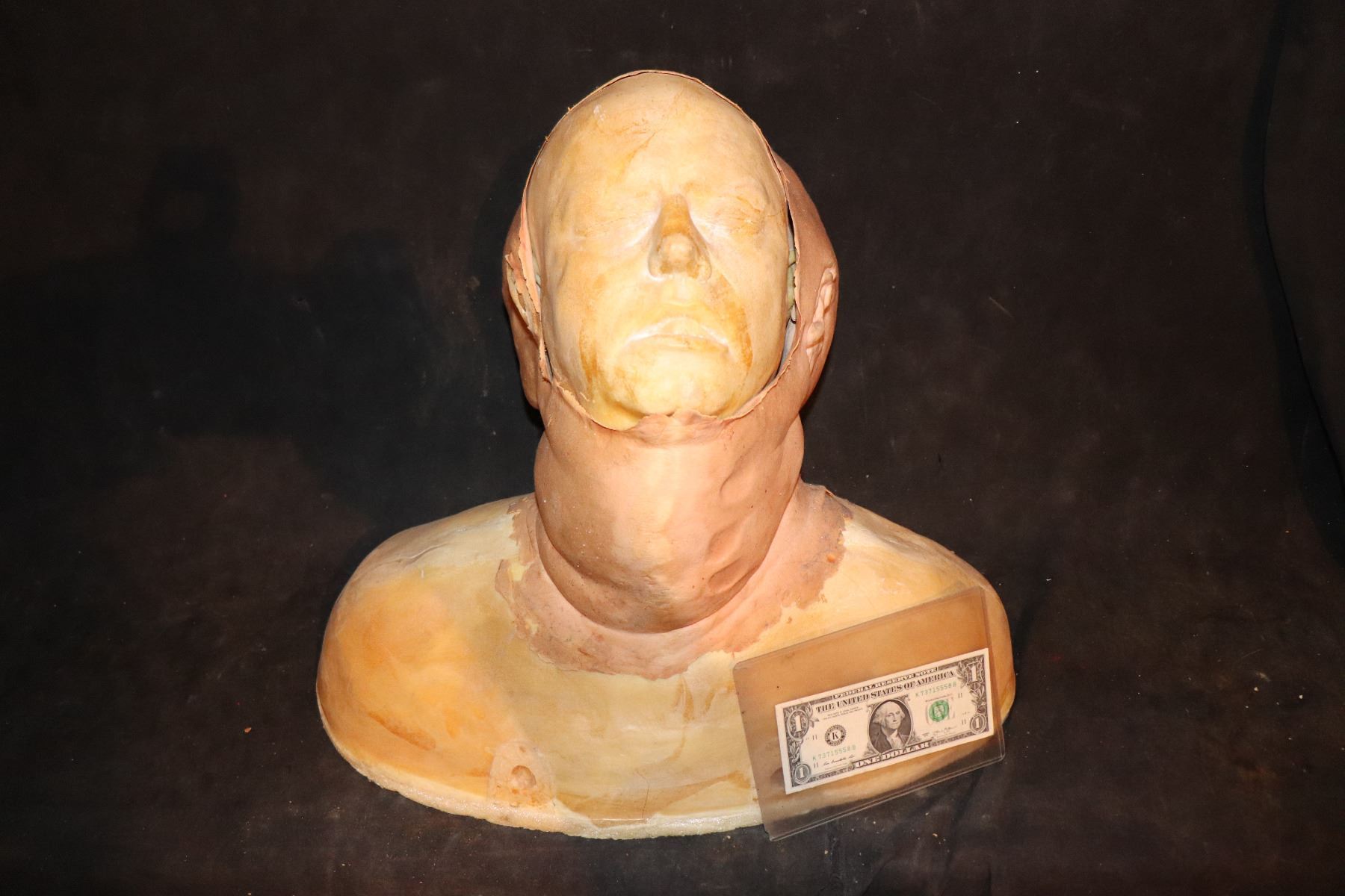 THE HILLS HAVE EYES BIG BRAIN MUTANT HEAD APPLIANCE ON LIFE CAST BUST