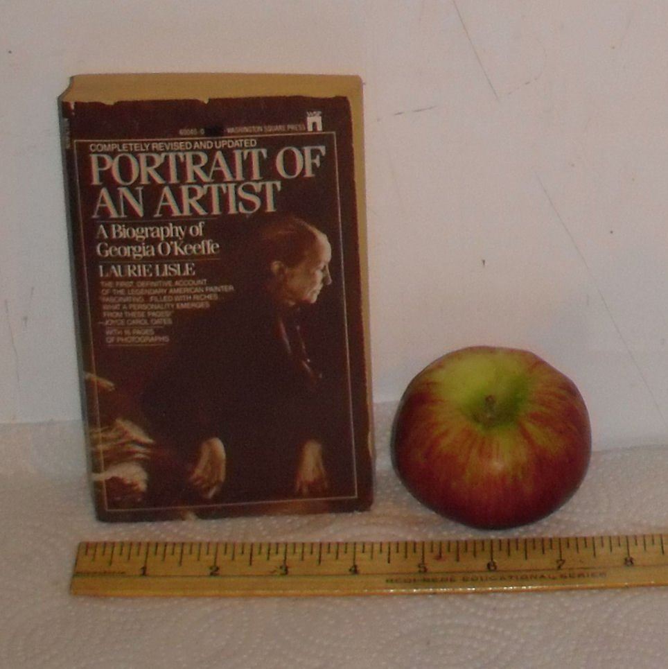 Pocket Book Portrait of an Artist Biography Georgia O'Keeffe - livre ...