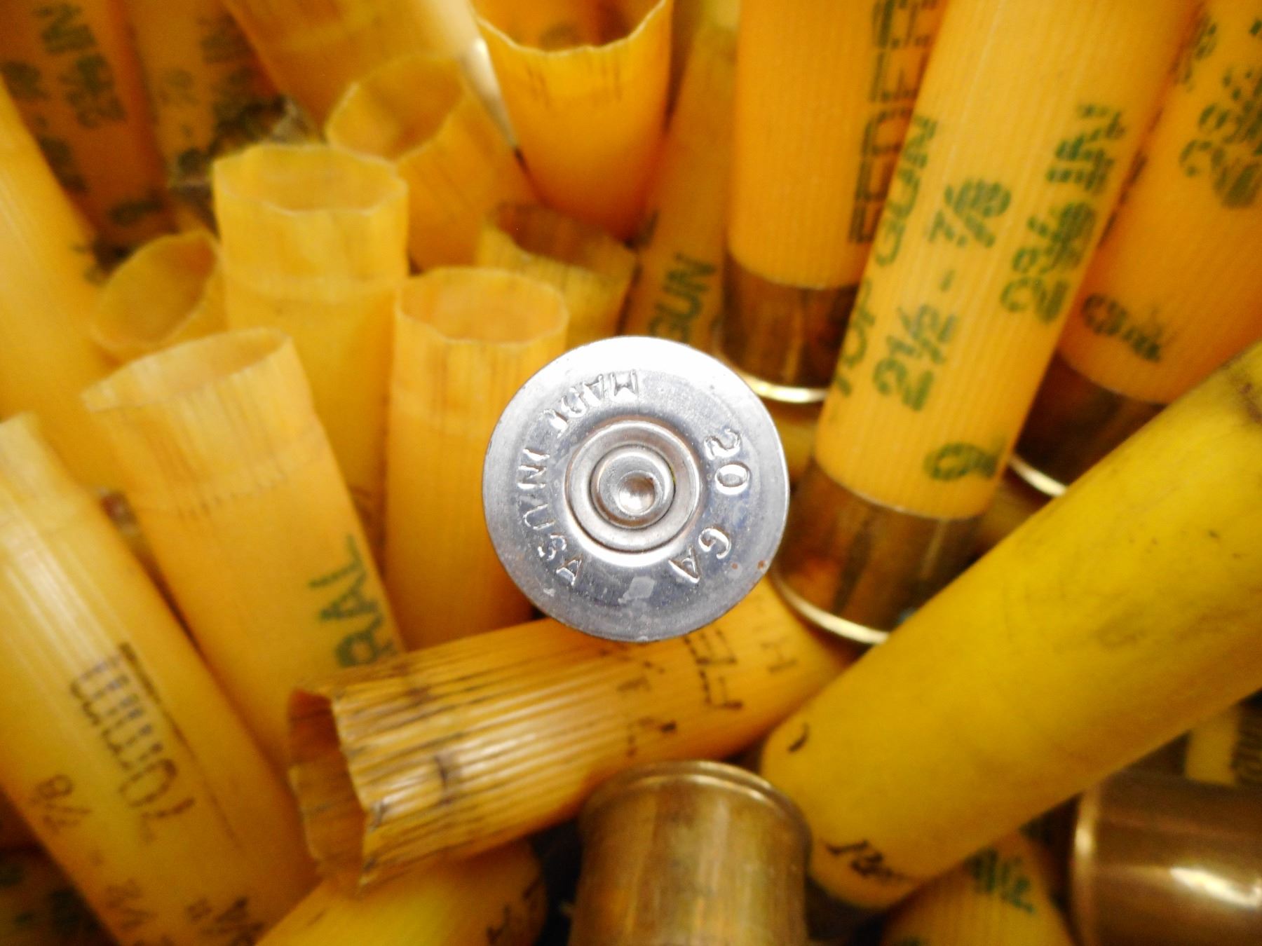 20 GAUGE EMPTY SHOTGUN HULLS Switzer s Auction Appraisal Service 20 GAUGE EMPTY SHOTGUN HULLS Switzer s Auction Appraisal Service