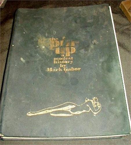 THE PIN UP A MODEST HISTORY BY MARK GABOR