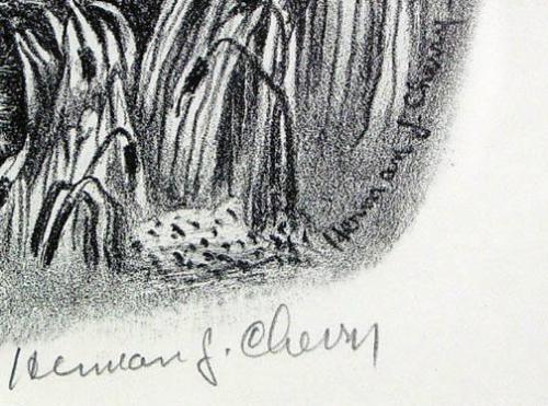 Herman J. Cherry, Lithograph