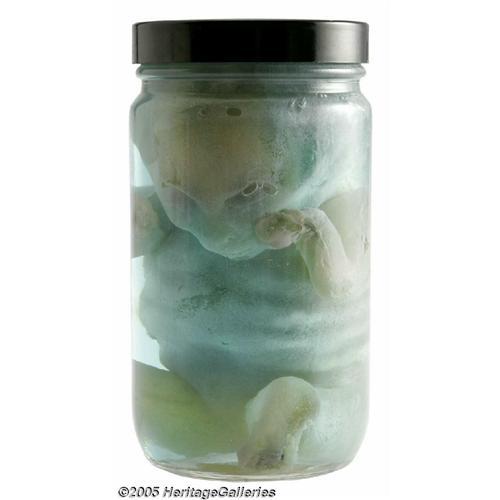 X-Files Alien Baby in Jar. By its third season, " "X-Files" Alien Baby ...
