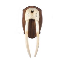 Eskimo Inuit Scrimshawed Walrus Skull & Tusk