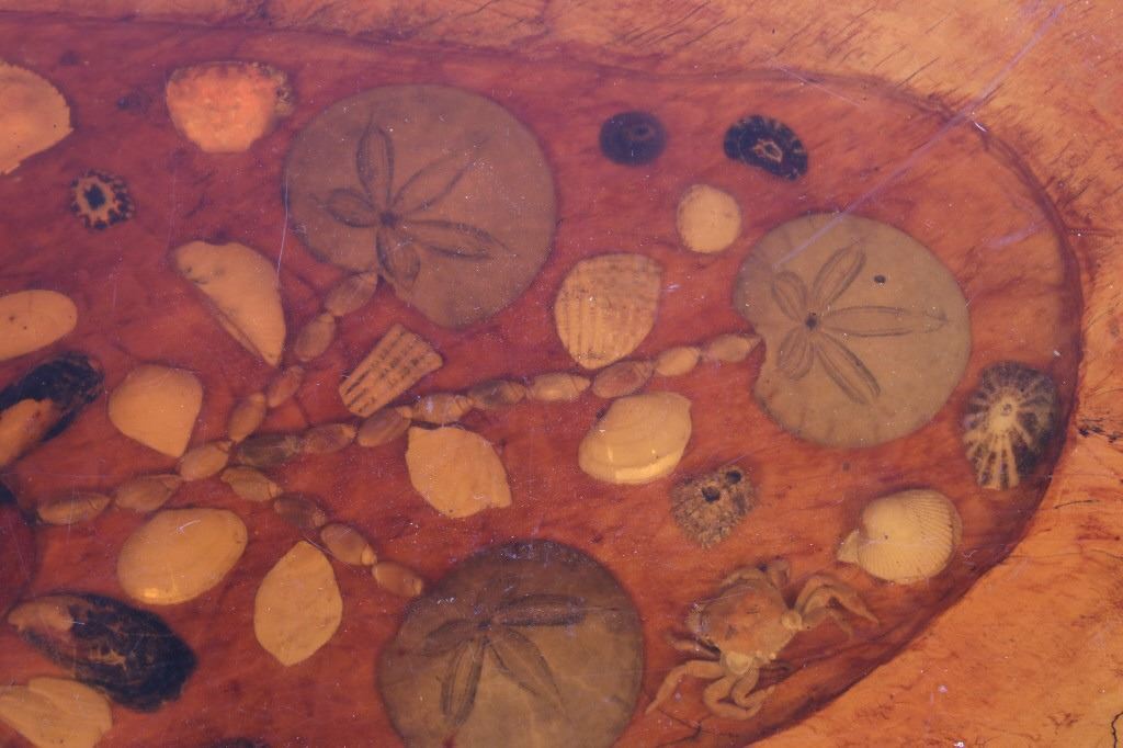 Lacquer Shell & Sand Dollar Burl Stump Table