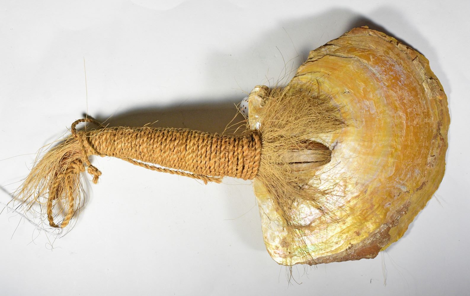 Yap Shell, Rings, Bead Money