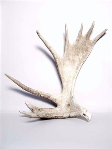 Native Art Sculpture by Steve Basil