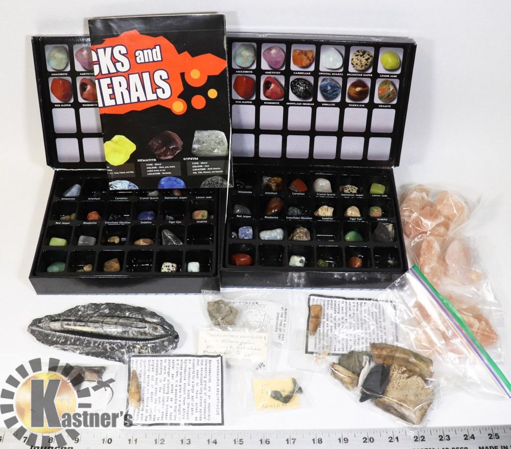 SET OF 2 SCHOLASTIC ROCKS & MINERALS