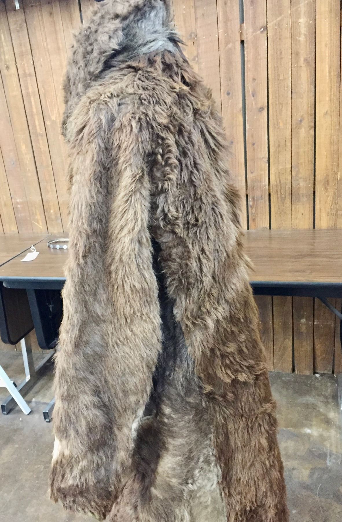 Early 1900s Buffalo Coat
