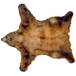 Black Bear Rug - Cinnamon Color
