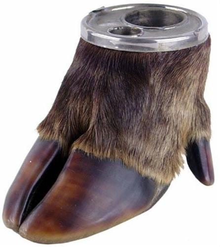 Elk Foot Ashtray