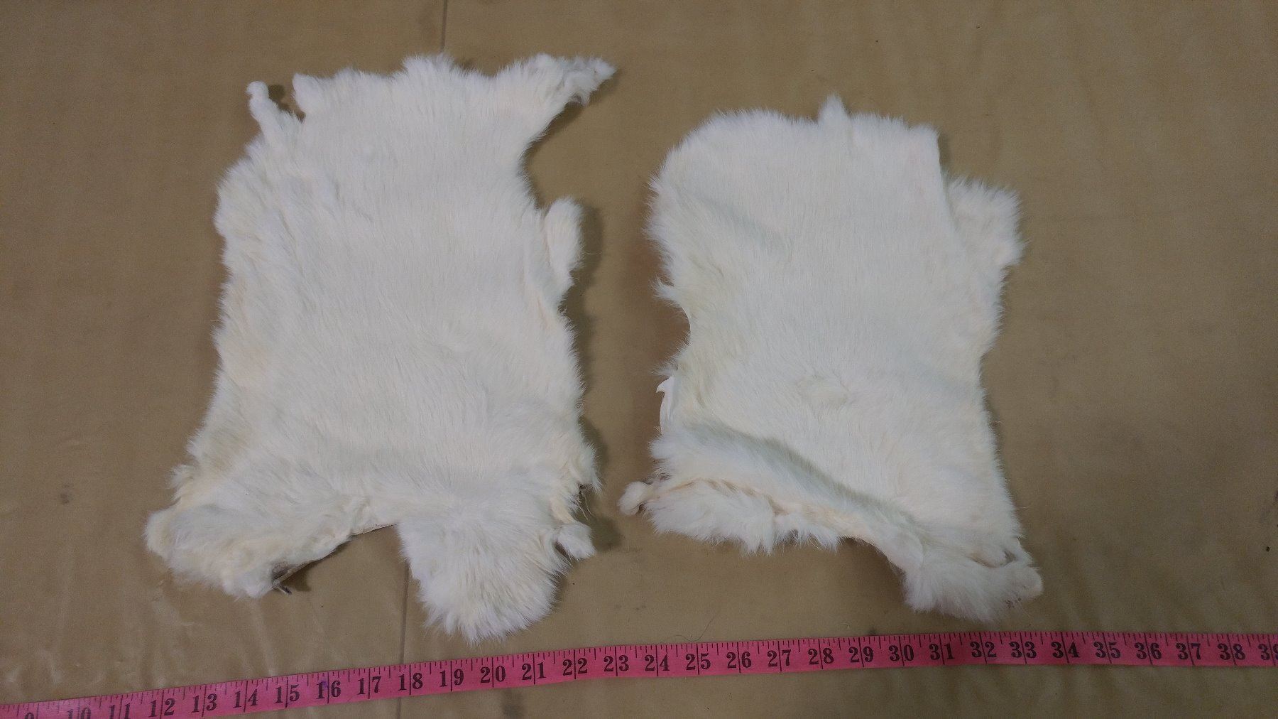 TWO WHITE RABBIT PELTS