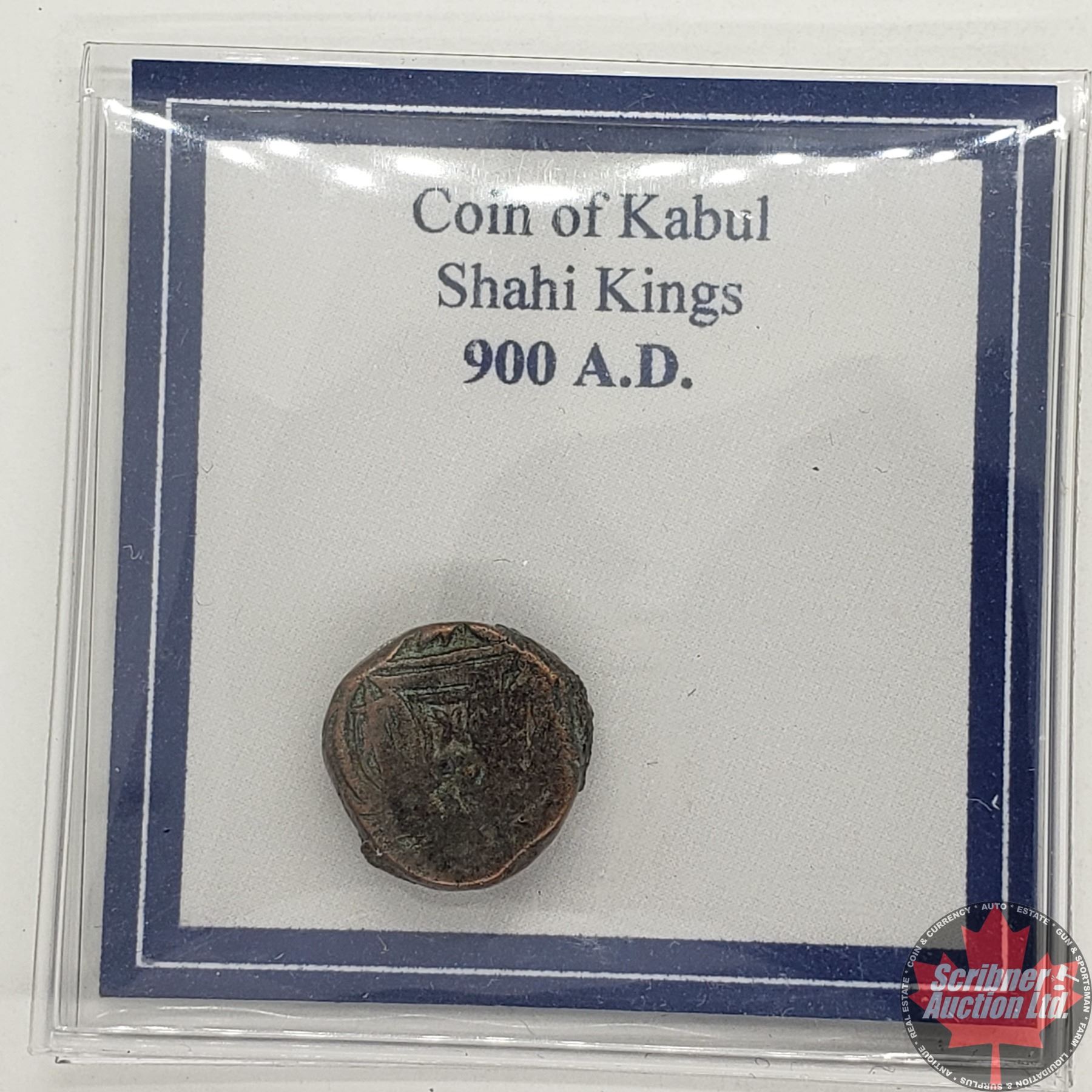 Ancient Coin: Circa 900AD, Billon Coin of Kabul, Shahi Kinds, Info Sheet