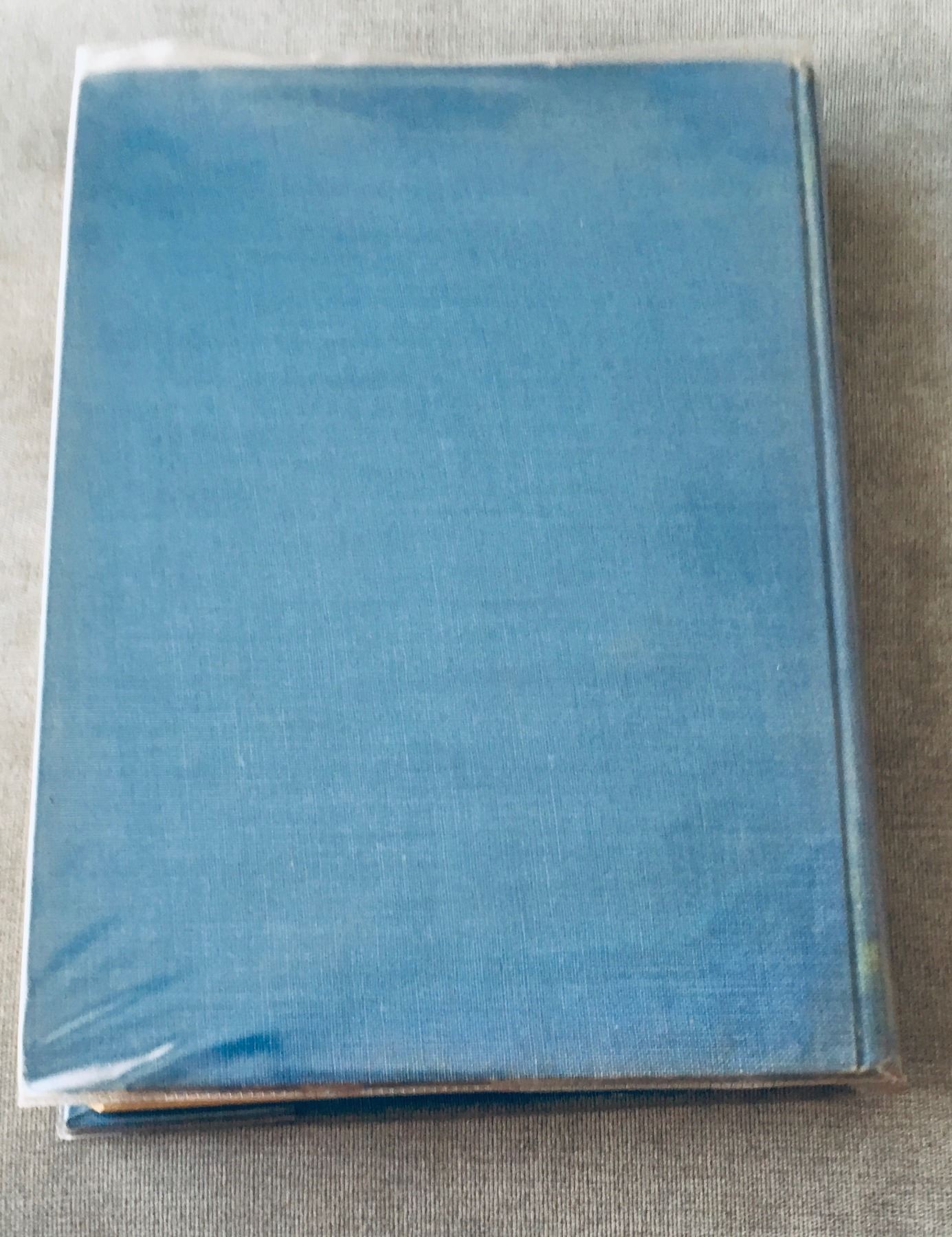 Vintage Wizard of Oz Lucky Bucky