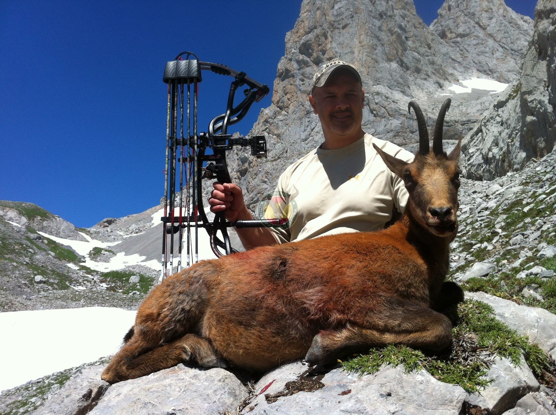 4 Day Pyrenean Chamois Hunt for 1 Hunter-2020