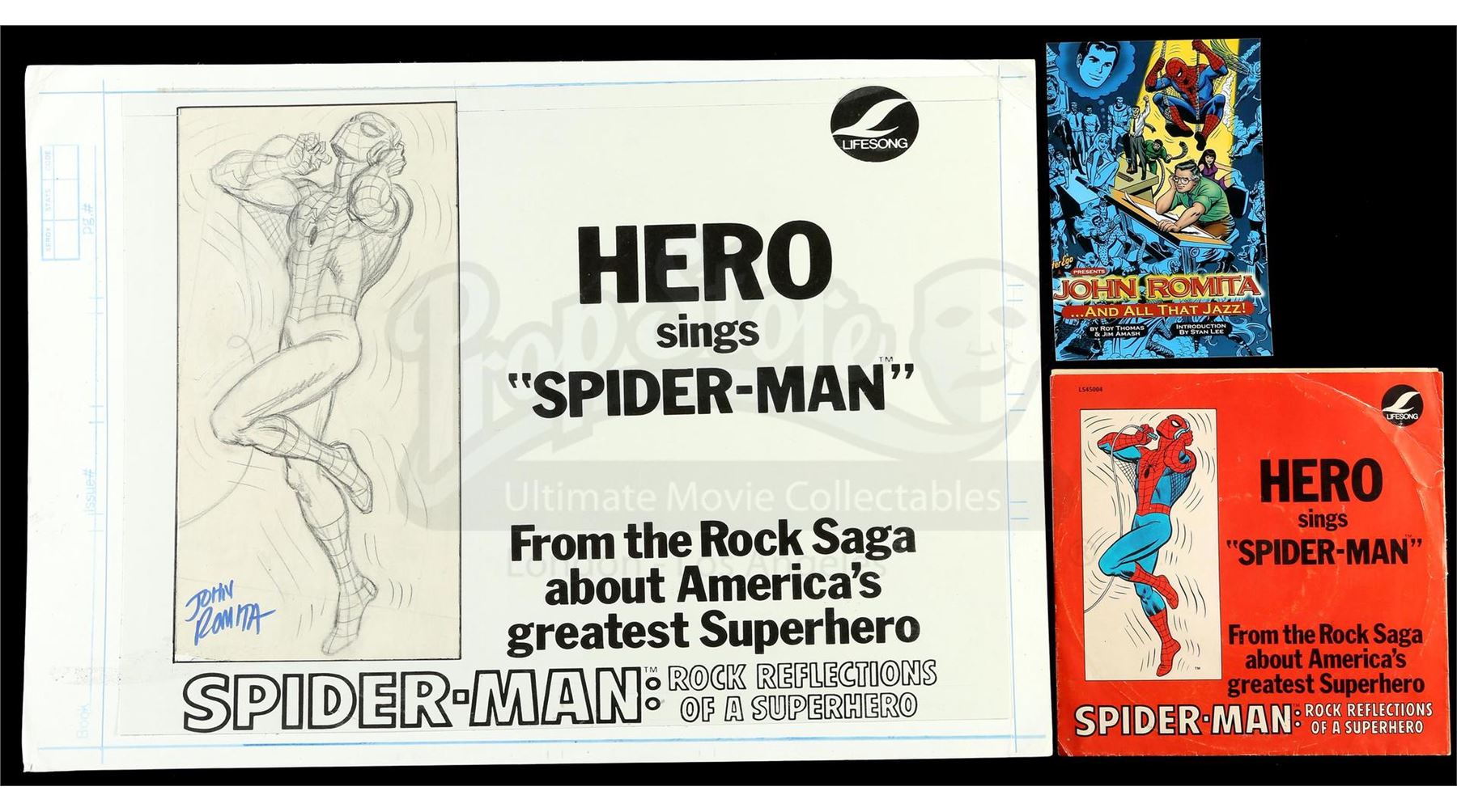 . Spider-Man: Rock Reflections of a Superhero Cover Design Art with ...