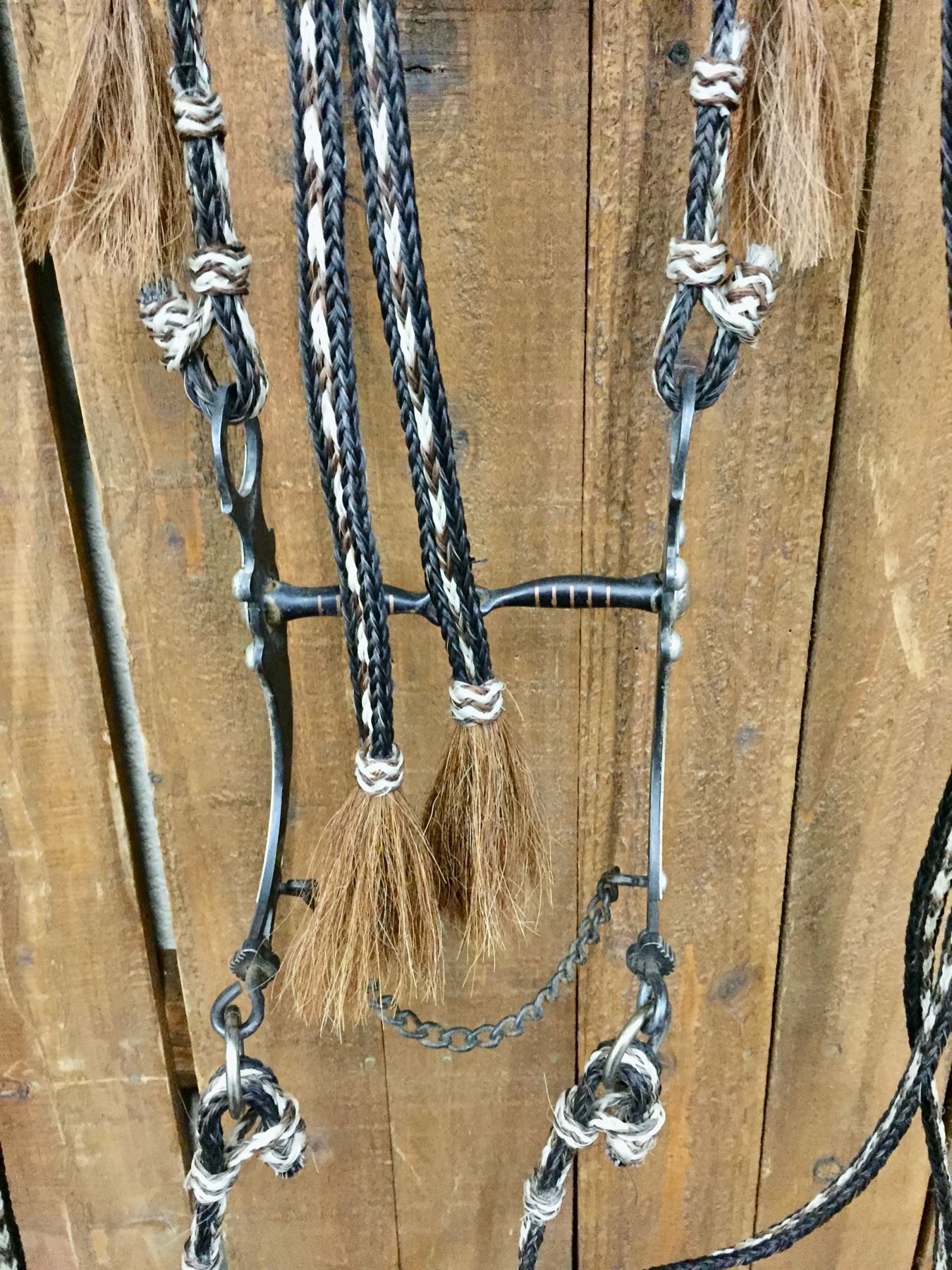 Braided Horsehair Bridle with Bit