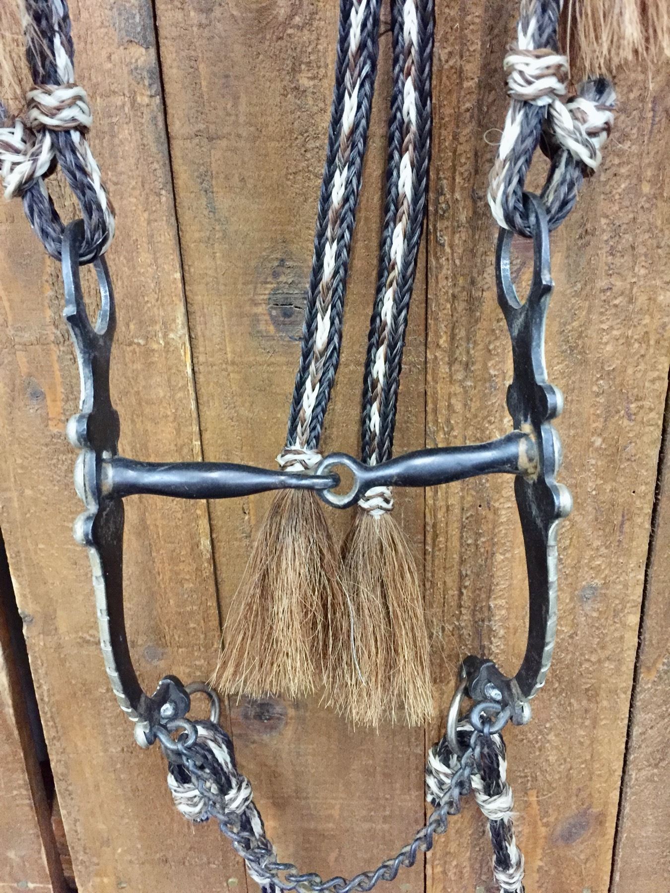 Braided Horsehair Bridle with Bit