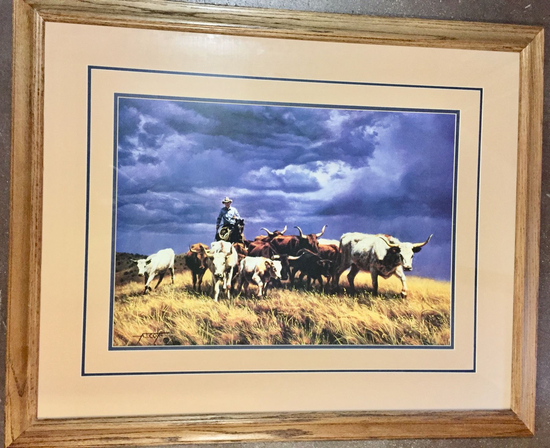 Framed Tim Cox Print