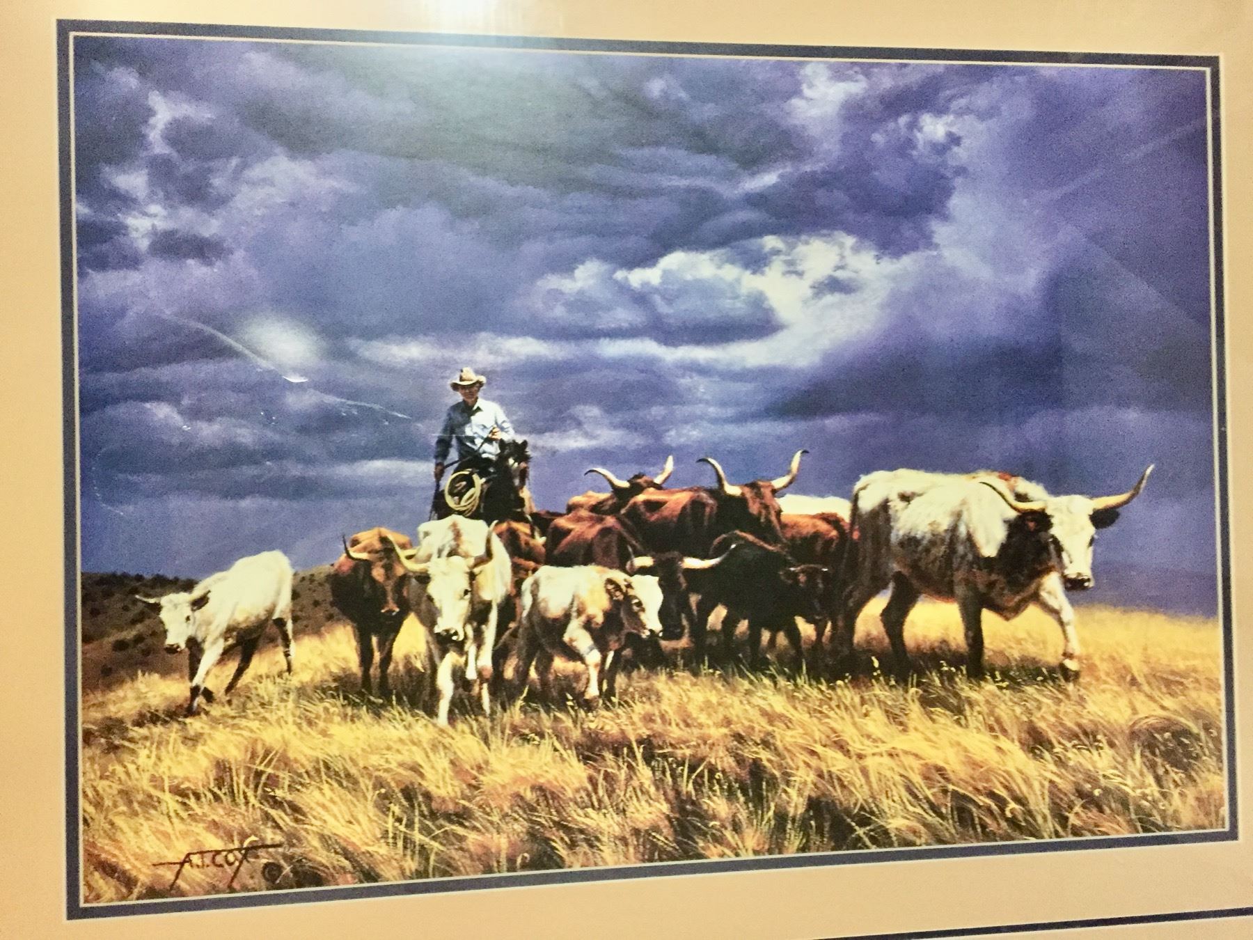 Framed Tim Cox Print