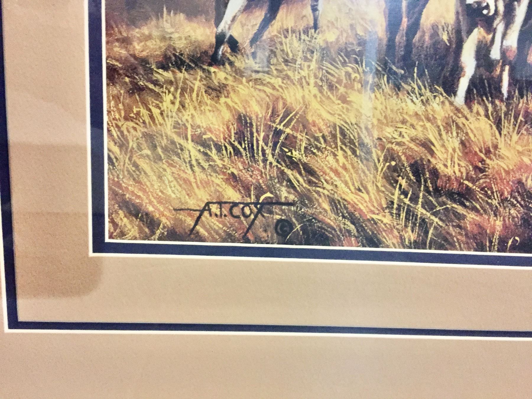 Framed Tim Cox Print