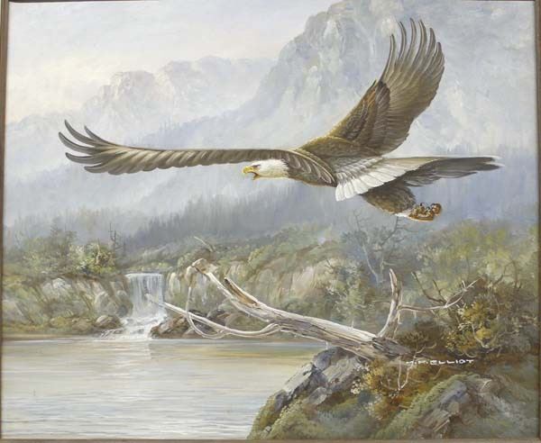 Original Framed M.P. Elliott Eagle Painting