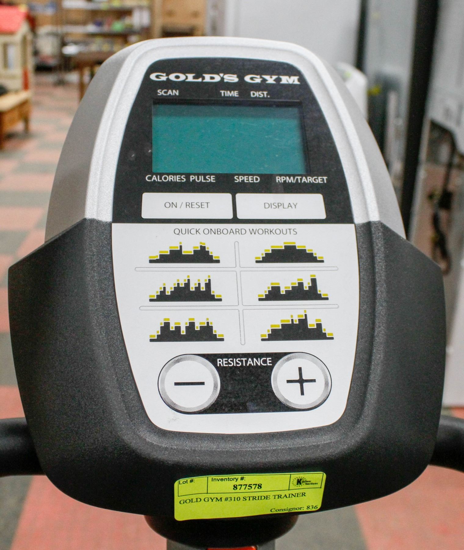 GOLD GYM #310 STRIDE TRAINER