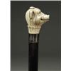 CARVED IVORY PIG HEAD CANE