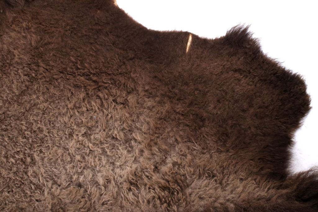 Northern Plains Indian Painted Buffalo Hide