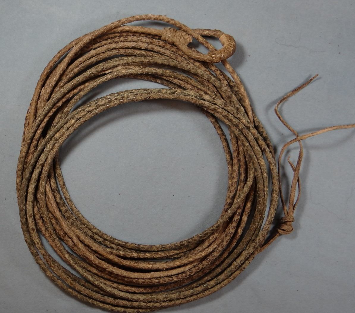 Fancy braided leather quirt with bone handle and 40' rawhide riata