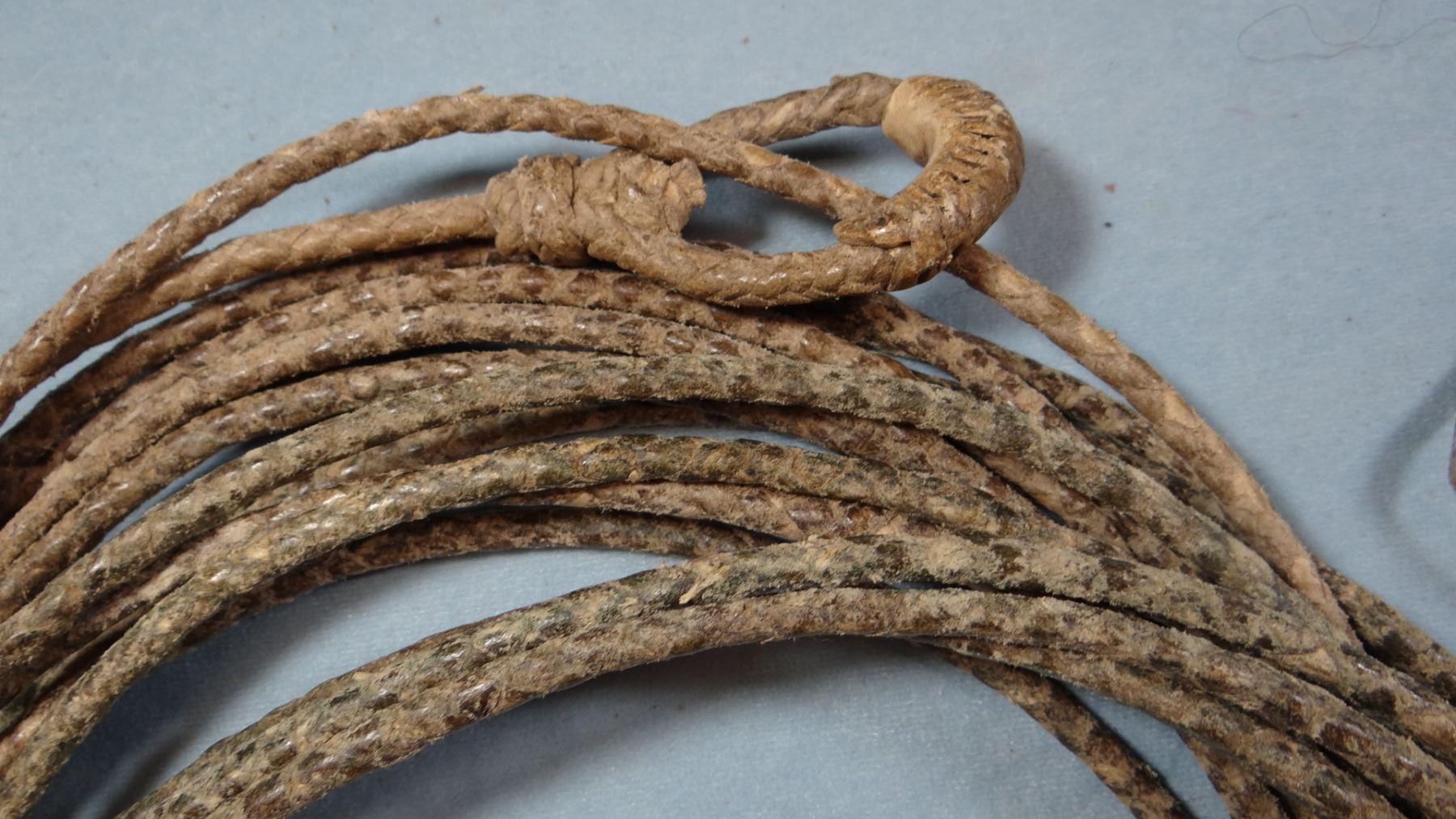 Fancy braided leather quirt with bone handle and 40' rawhide riata