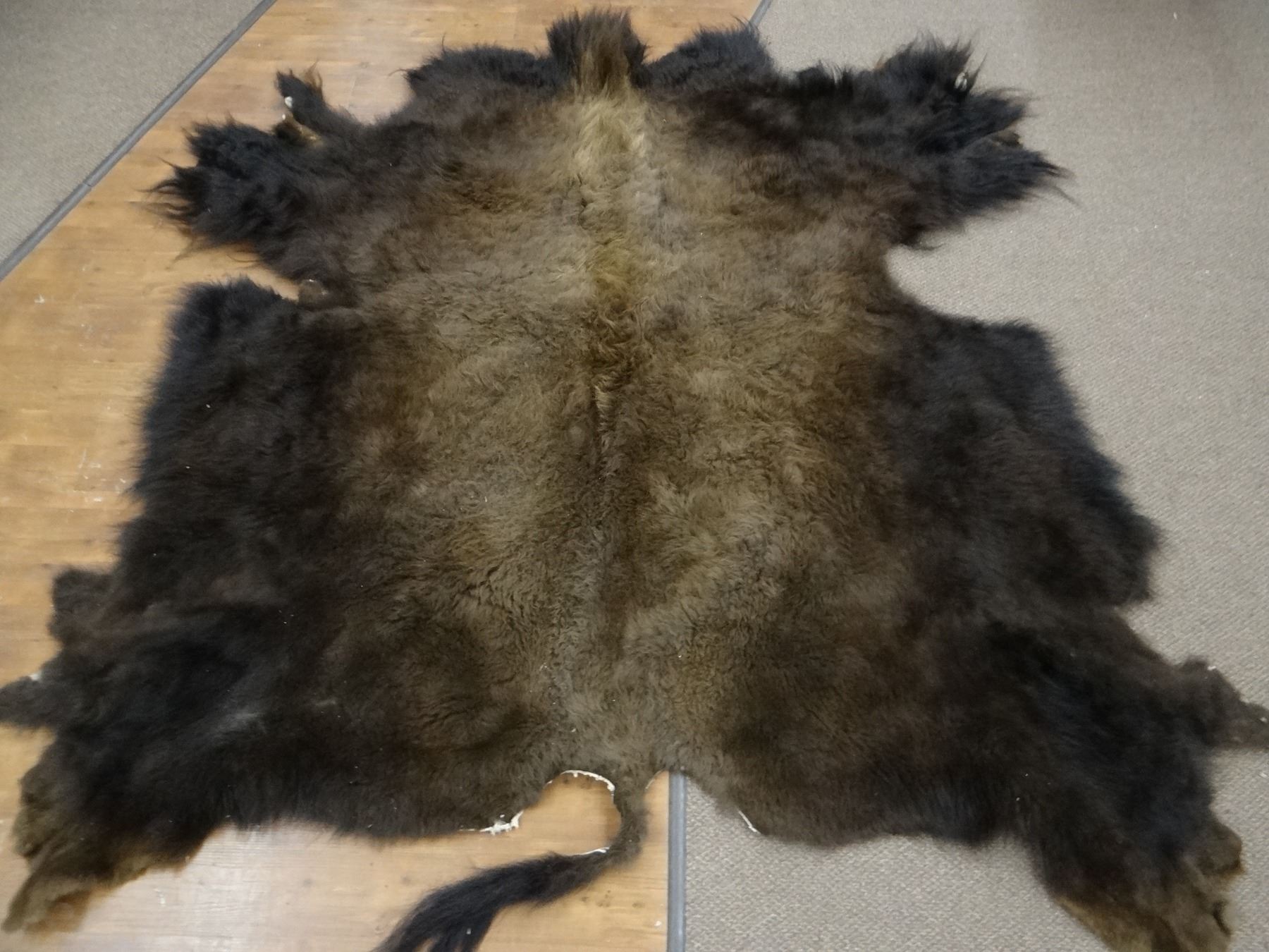 Tanned buffalo rug, 8' long including tail x 7' wide