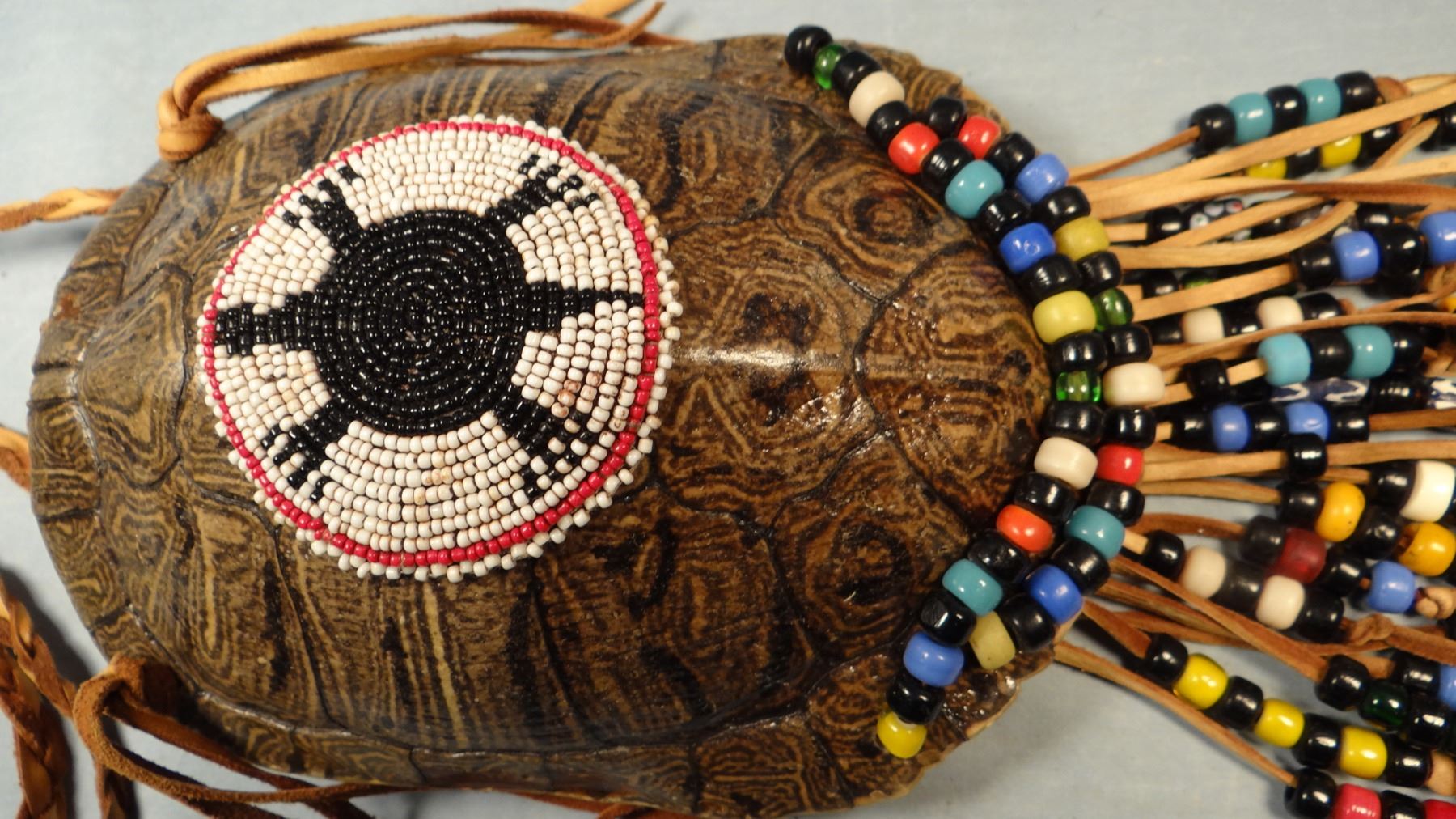 Turtle shell purse, 6" w, Apache Nation, Carl Pierce