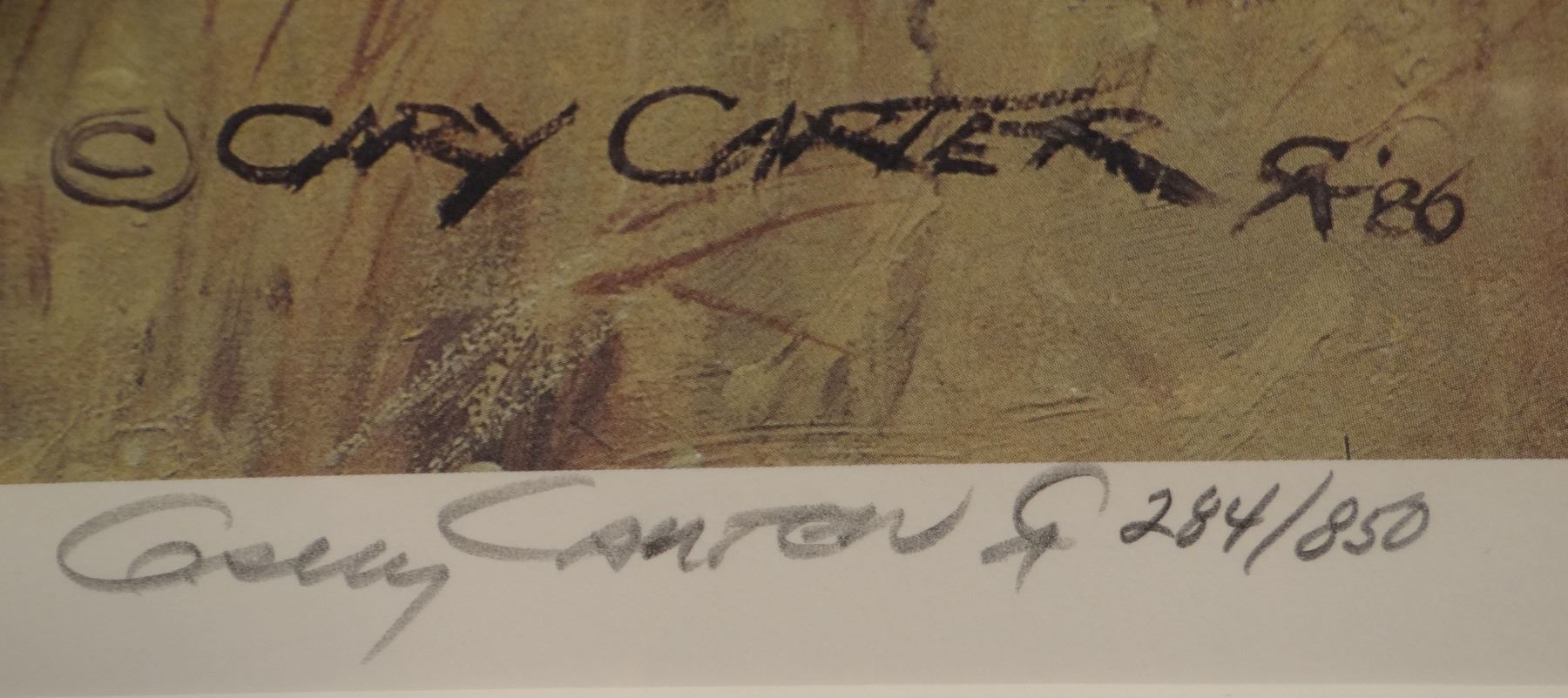 Carter, Gary print, "490", 14" x 24", framed